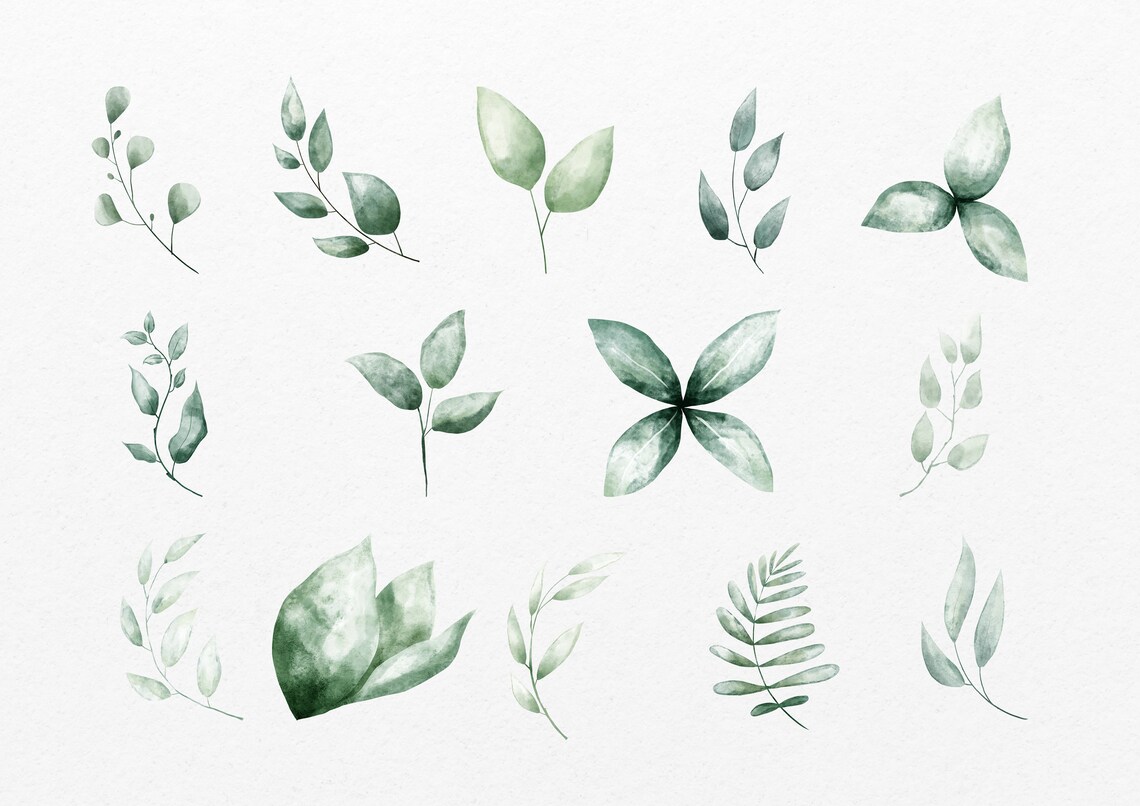 Watercolor Botanic Collection, Transparent PNG DOWNLOAD, Watercolor ...