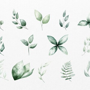 Watercolor Botanic Collection, Transparent PNG DOWNLOAD, Watercolor ...