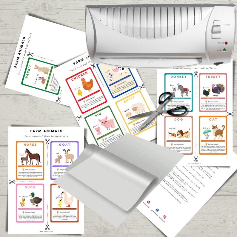 Printable Farm Animal Flashcards for Kids/fun Facts About Farm Animals ...