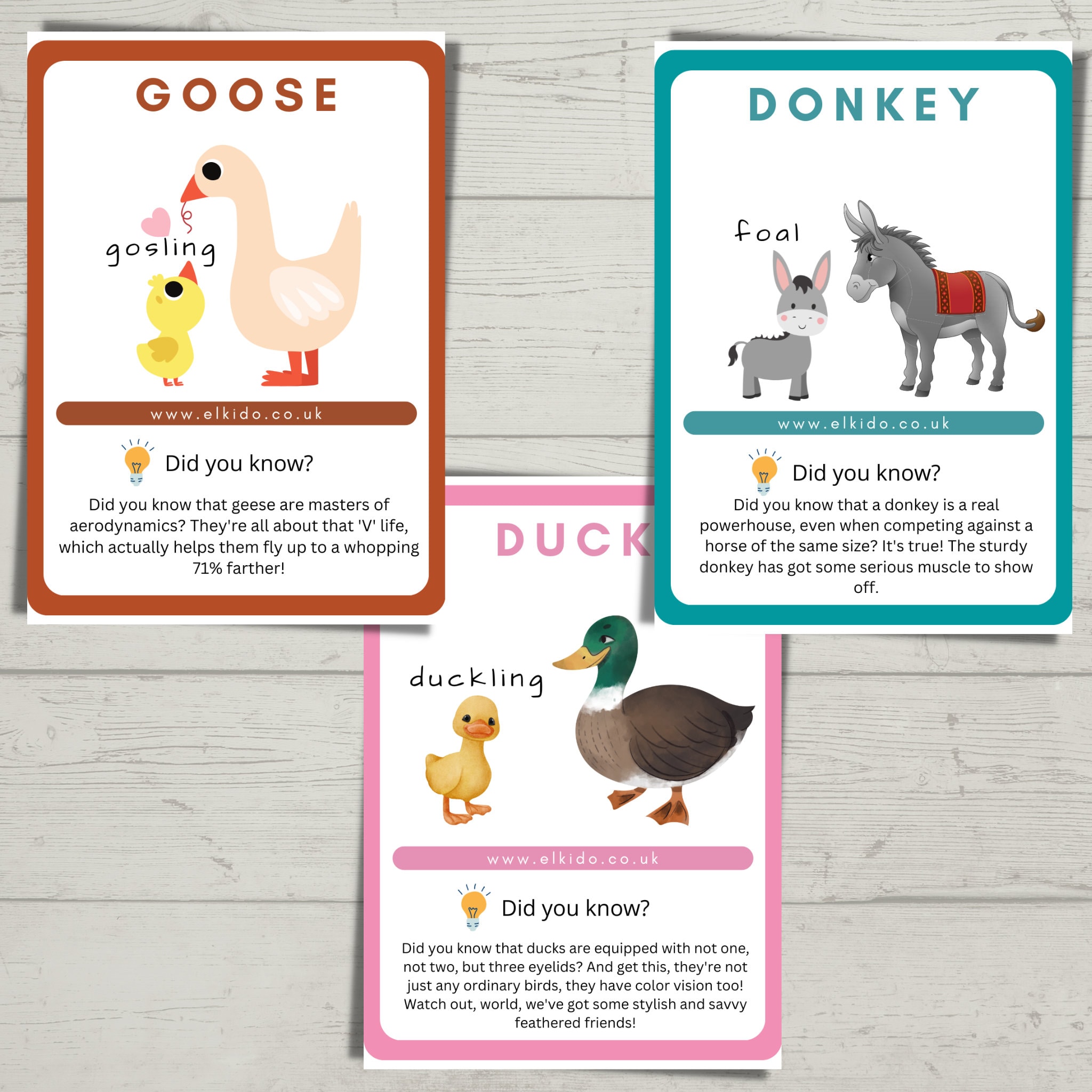 Printable Farm Animal Flashcards for Kids/fun Facts About Farm Animals ...