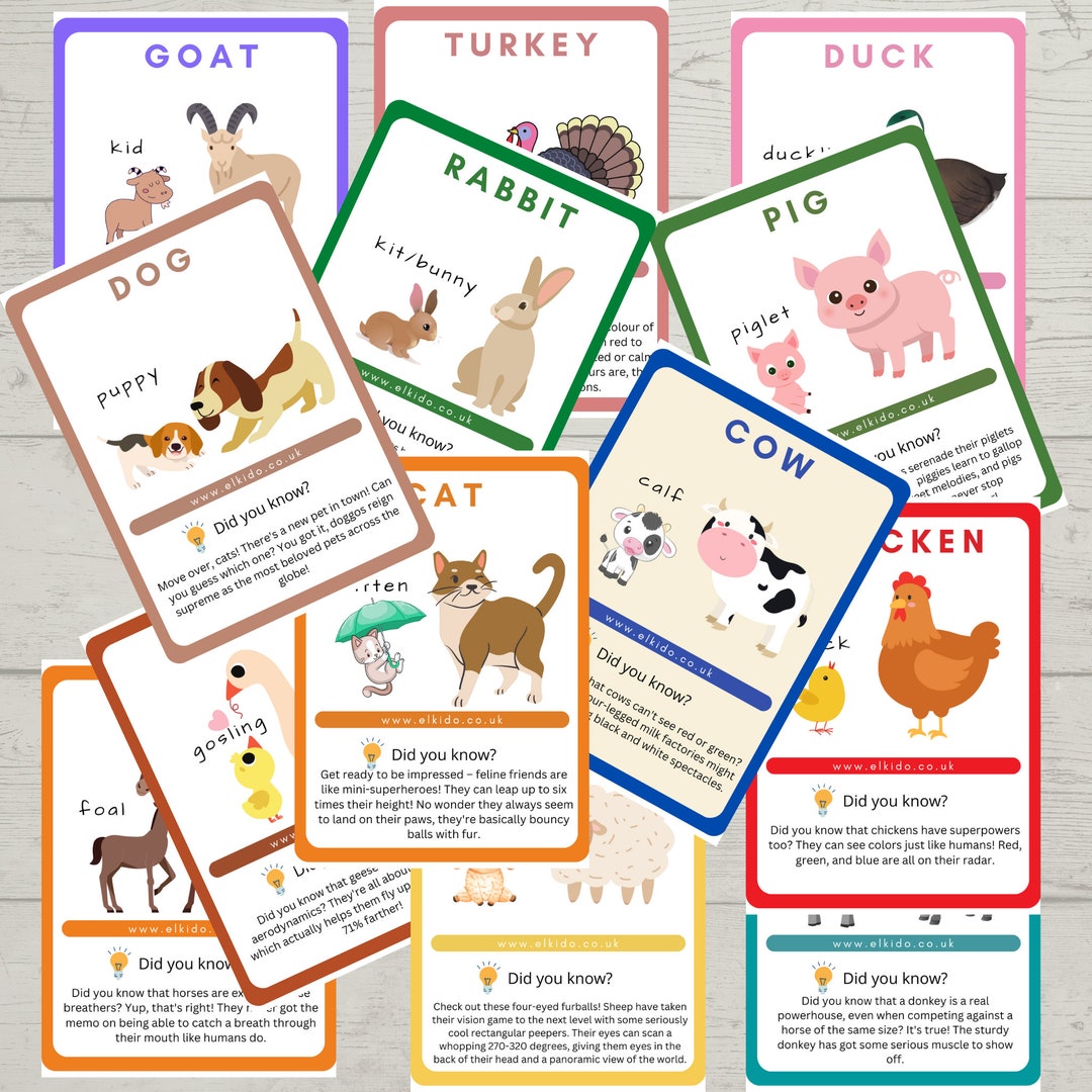 Printable Farm Animal Flashcards for Kids/fun Facts About Farm Animals ...