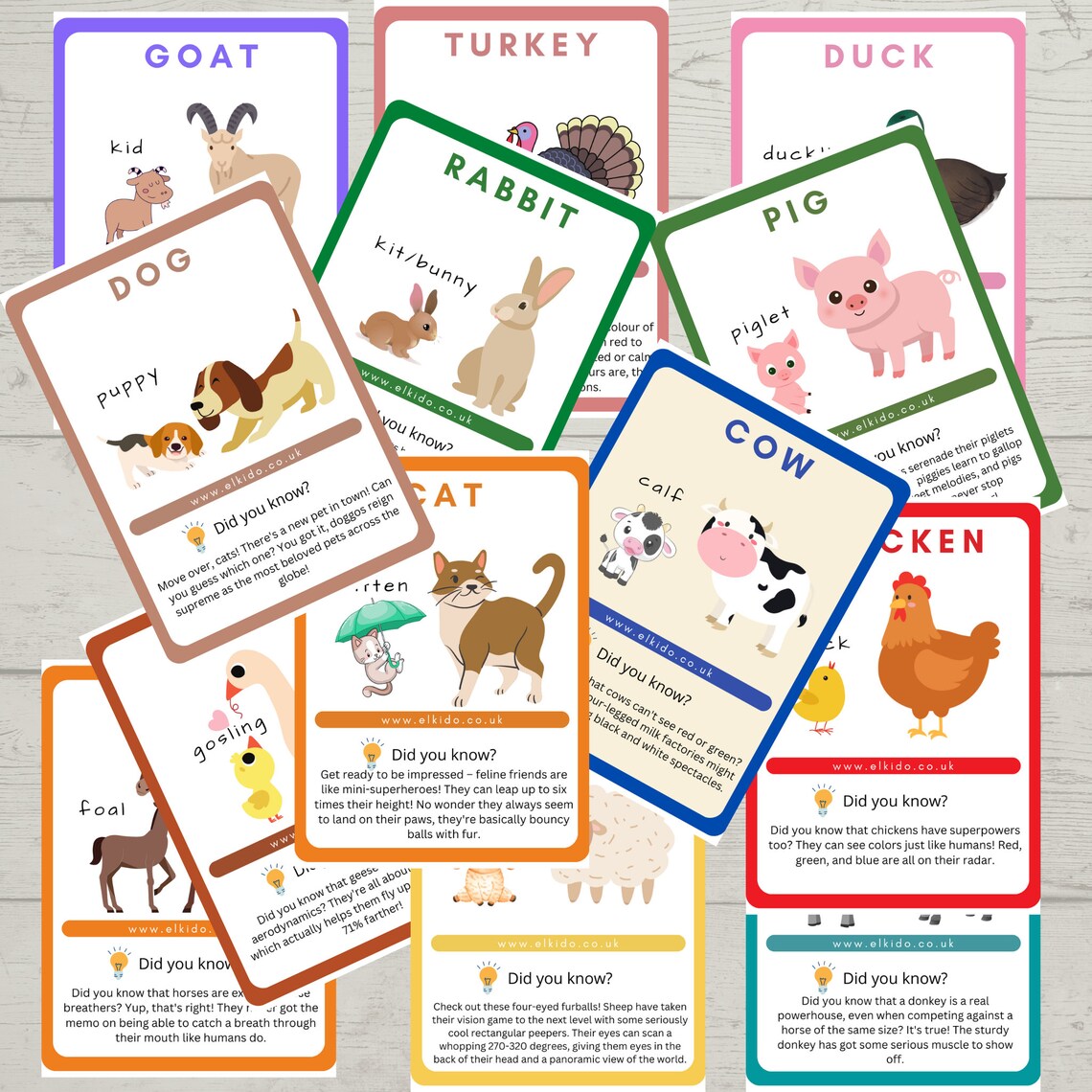 Printable Farm Animal Flashcards for Kids/fun Facts About Farm Animals ...