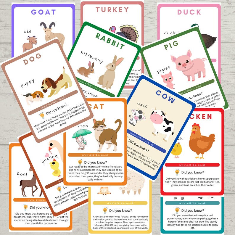 Printable Farm Animal Flashcards for Kids/fun Facts About Farm Animals ...