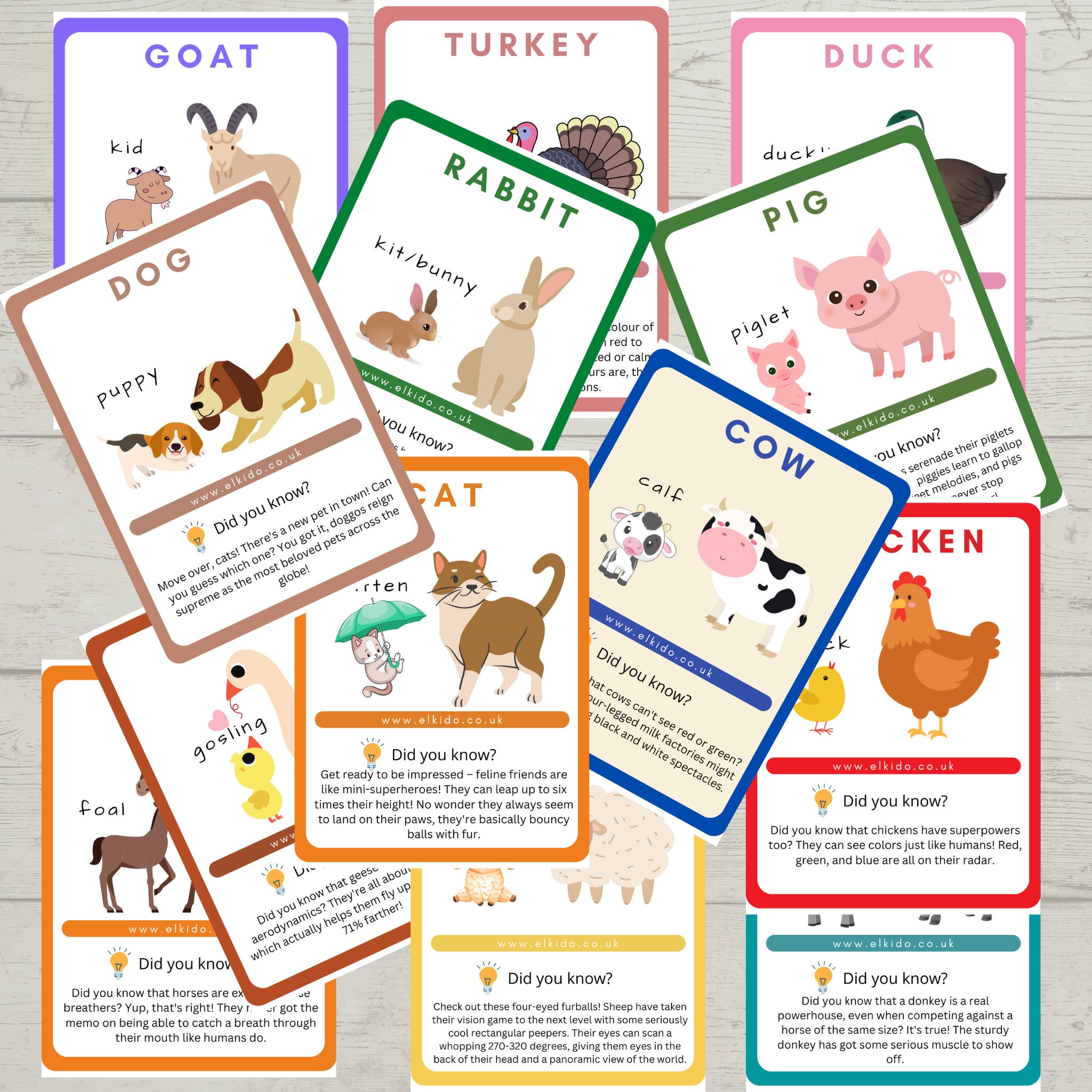 Printable Farm Animal Flashcards for Kids/fun Facts About Farm Animals ...