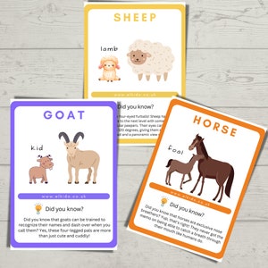 Printable Farm Animal Flashcards for Kids/fun Facts About Farm Animals ...