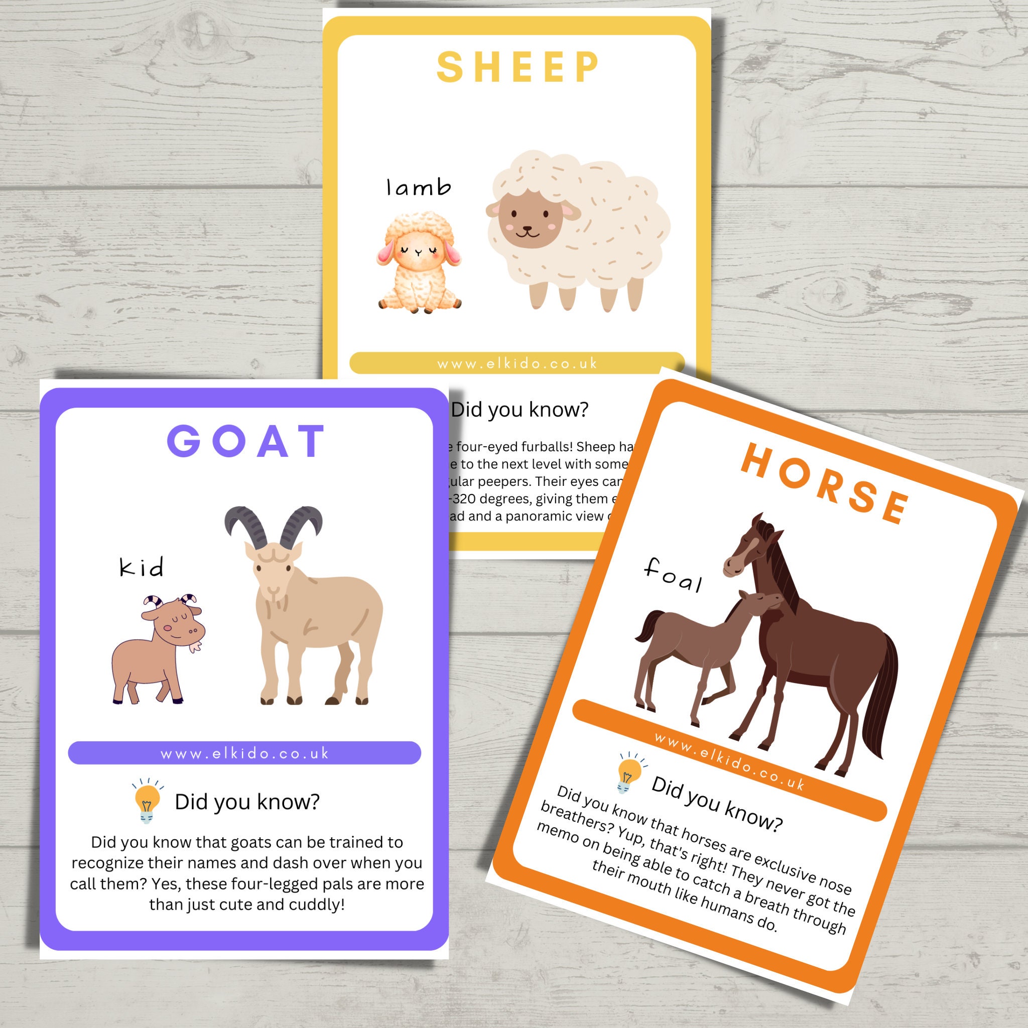 Printable Farm Animal Flashcards for Kids/fun Facts About Farm Animals ...