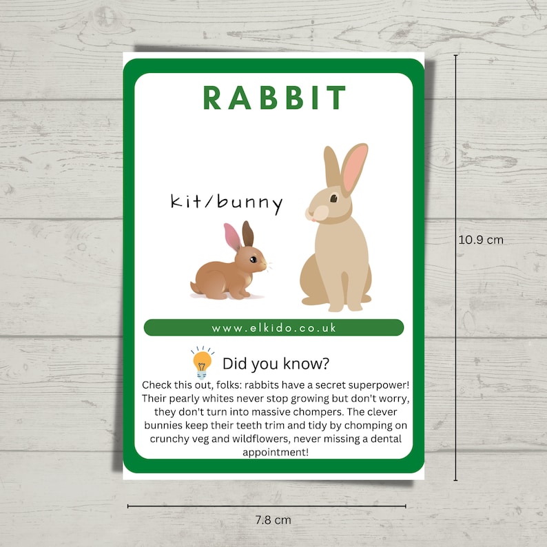 Printable Farm Animal Flashcards for Kids/fun Facts About Farm Animals ...