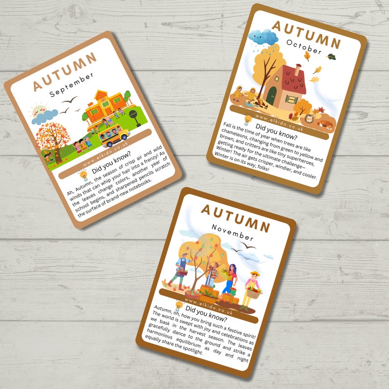 Printable Seasons Flashcards for Kids/preschool Learning Fun Facts ...