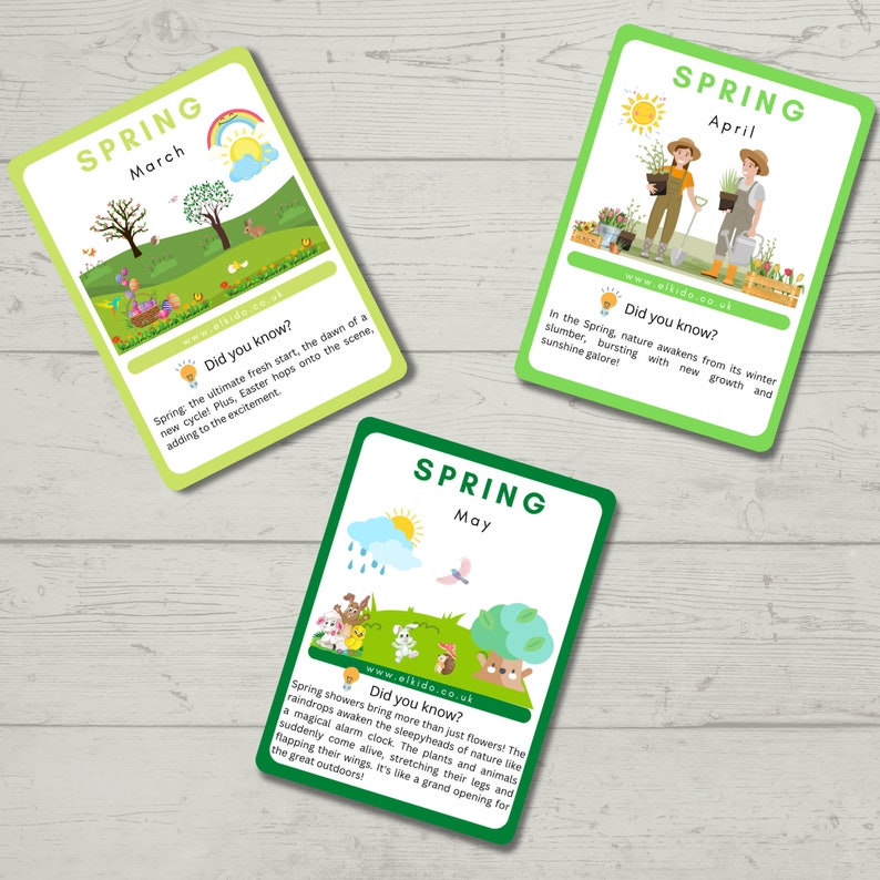 Printable Seasons Flashcards for Kids/preschool Learning Fun Facts ...