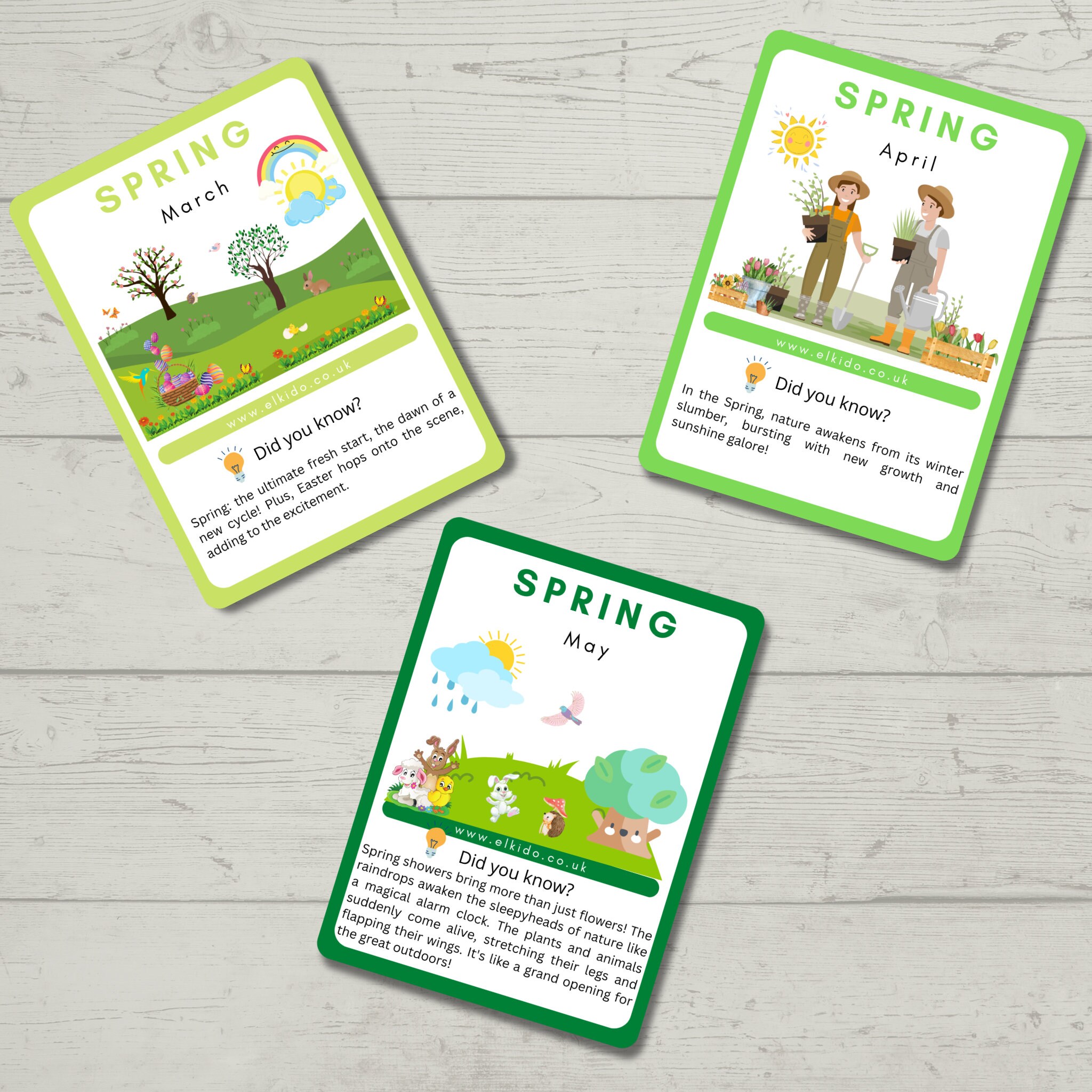 Printable Seasons Flashcards for Kids/preschool Learning Fun Facts ...