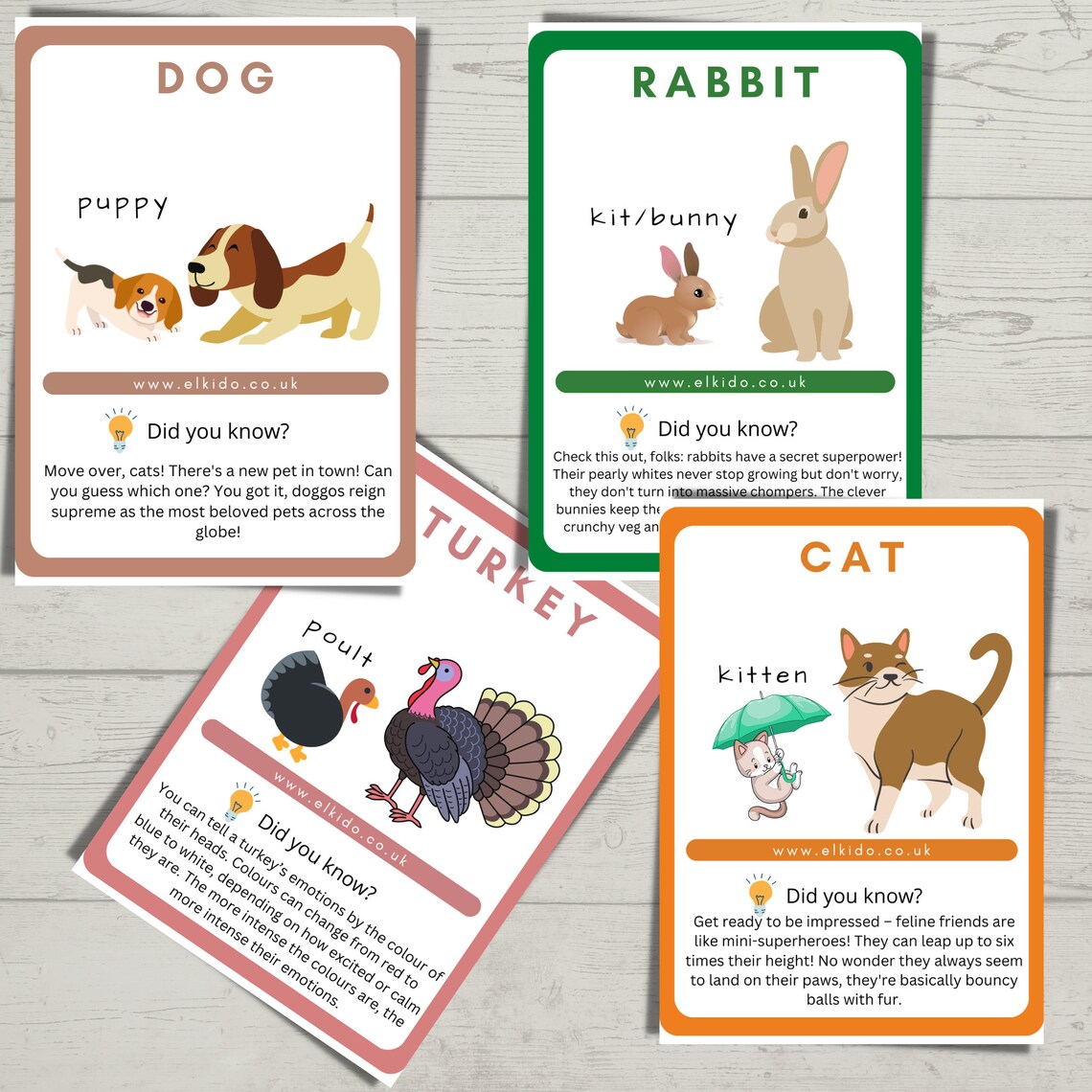 Printable Farm Animal Flashcards for Kids/fun Facts About Farm Animals ...