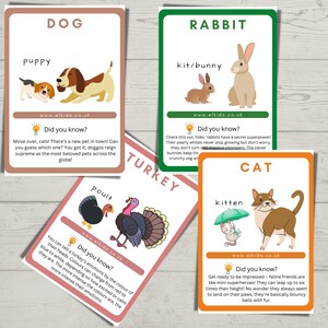 Printable Farm Animal Flashcards for Kids/fun Facts About Farm Animals ...