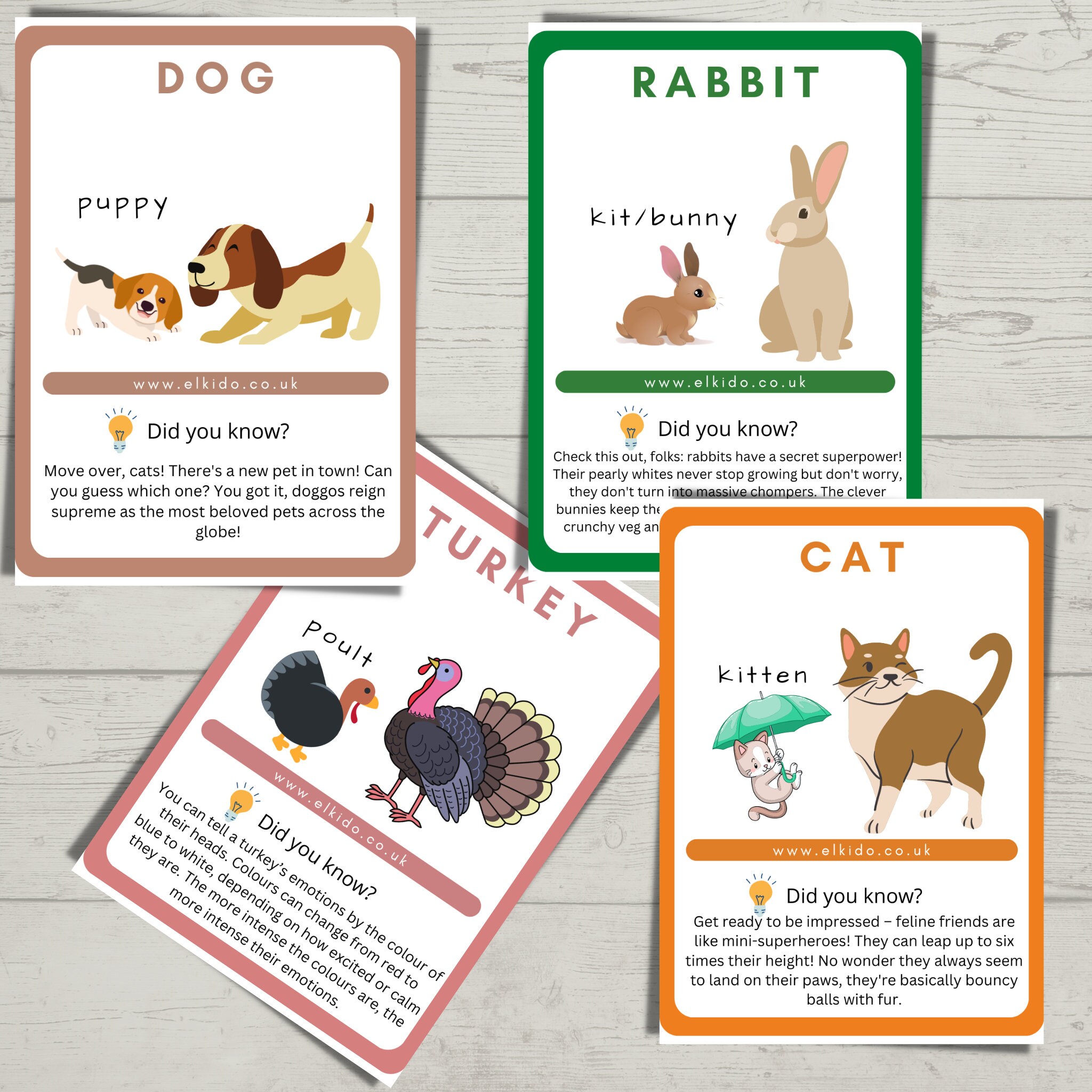 Printable Farm Animal Flashcards for Kids/fun Facts About Farm Animals ...