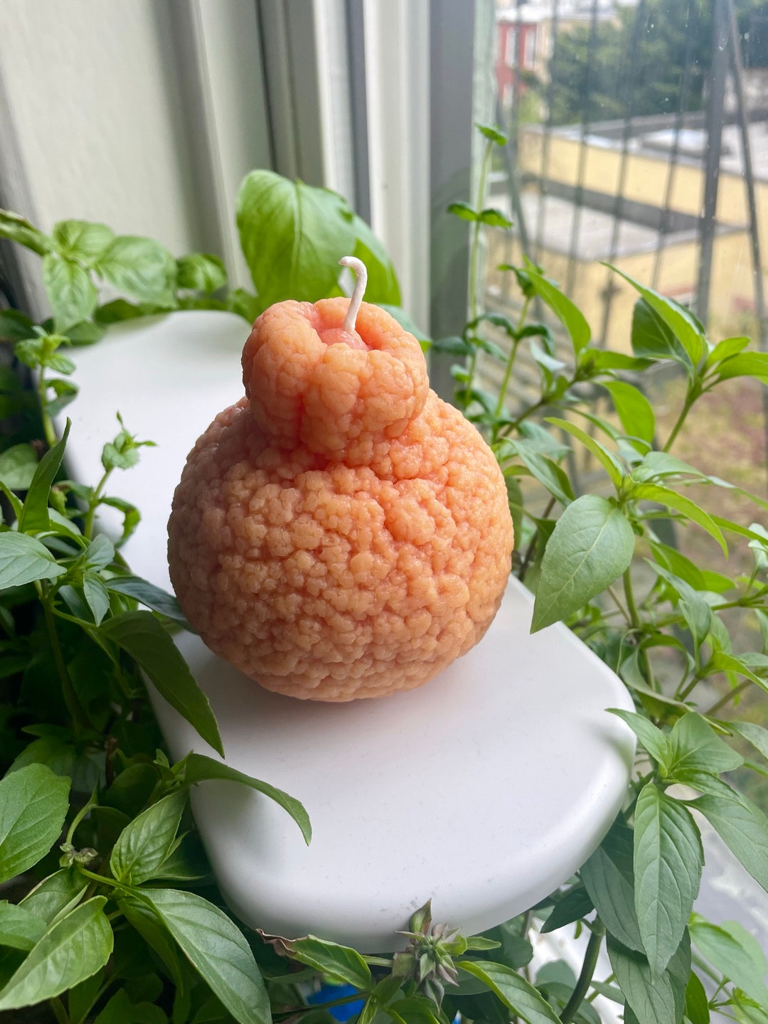 Sumo Citrus Orange Candle, 100% Natural Beeswax. - Etsy