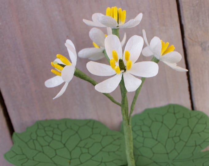 Skeleton Flower White Paper Flower Stem Wedding Skeleton Flower Bouquet ...