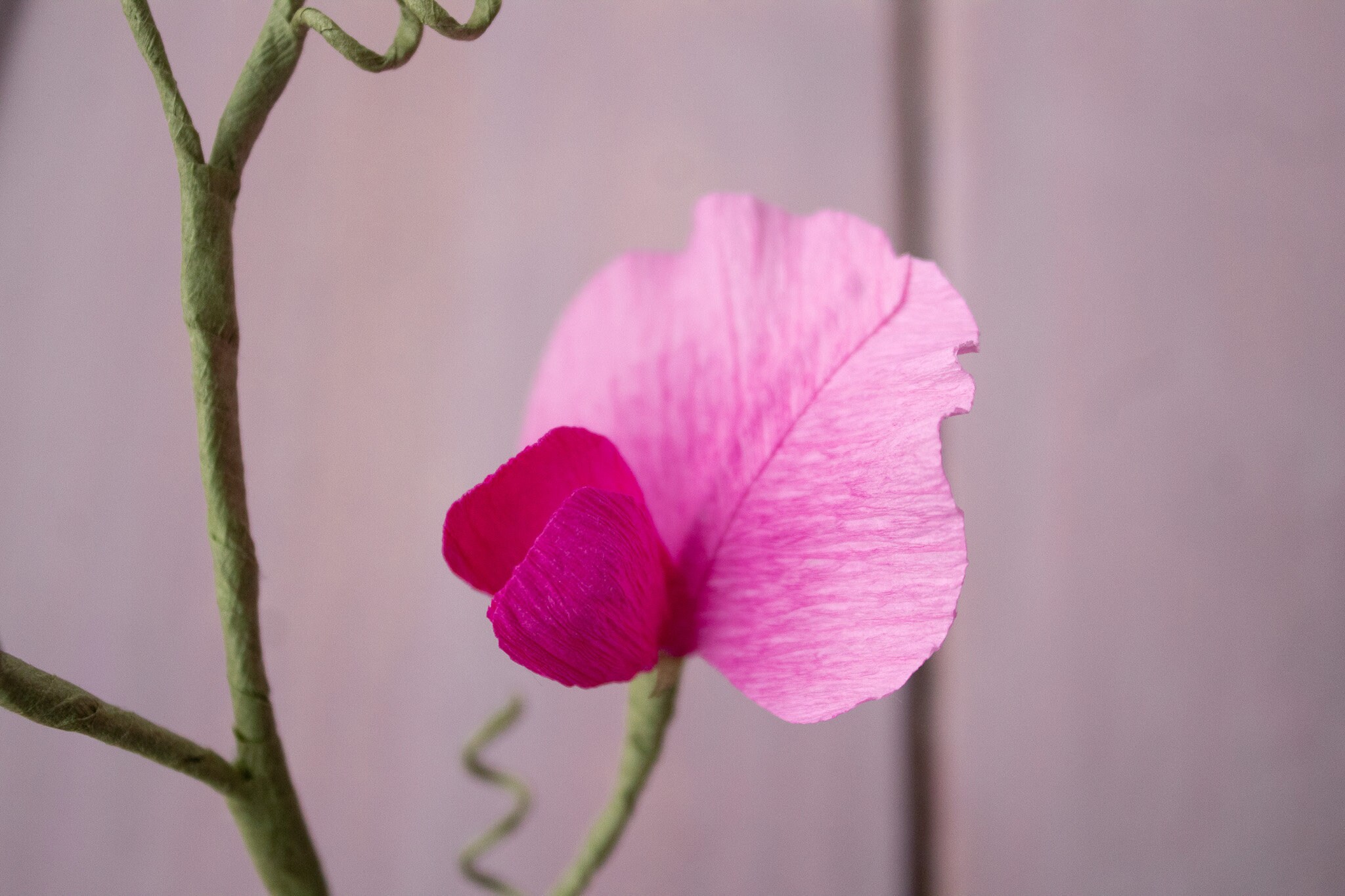Pink Sweet Pea Crepe Paper Flower Stem Handmade Pink Flower - Etsy