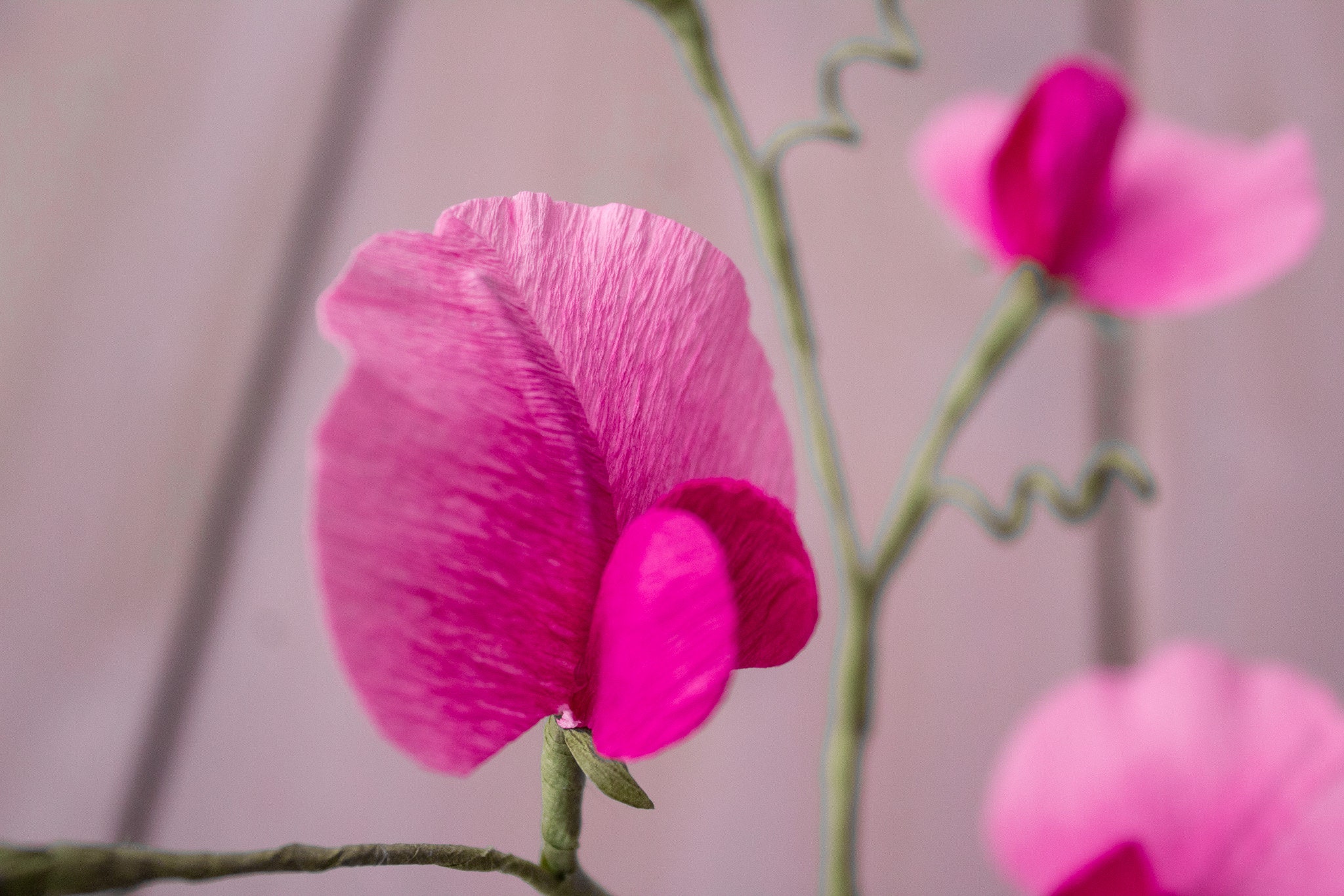 Pink Sweet Pea Crepe Paper Flower Stem Handmade Pink Flower - Etsy