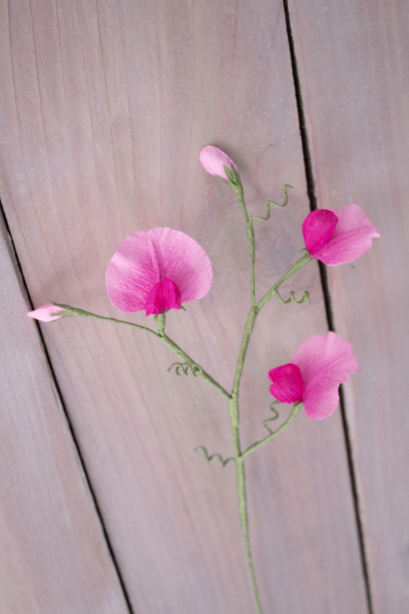 Pink Sweet Pea Crepe Paper Flower Stem Handmade Pink Flower - Etsy