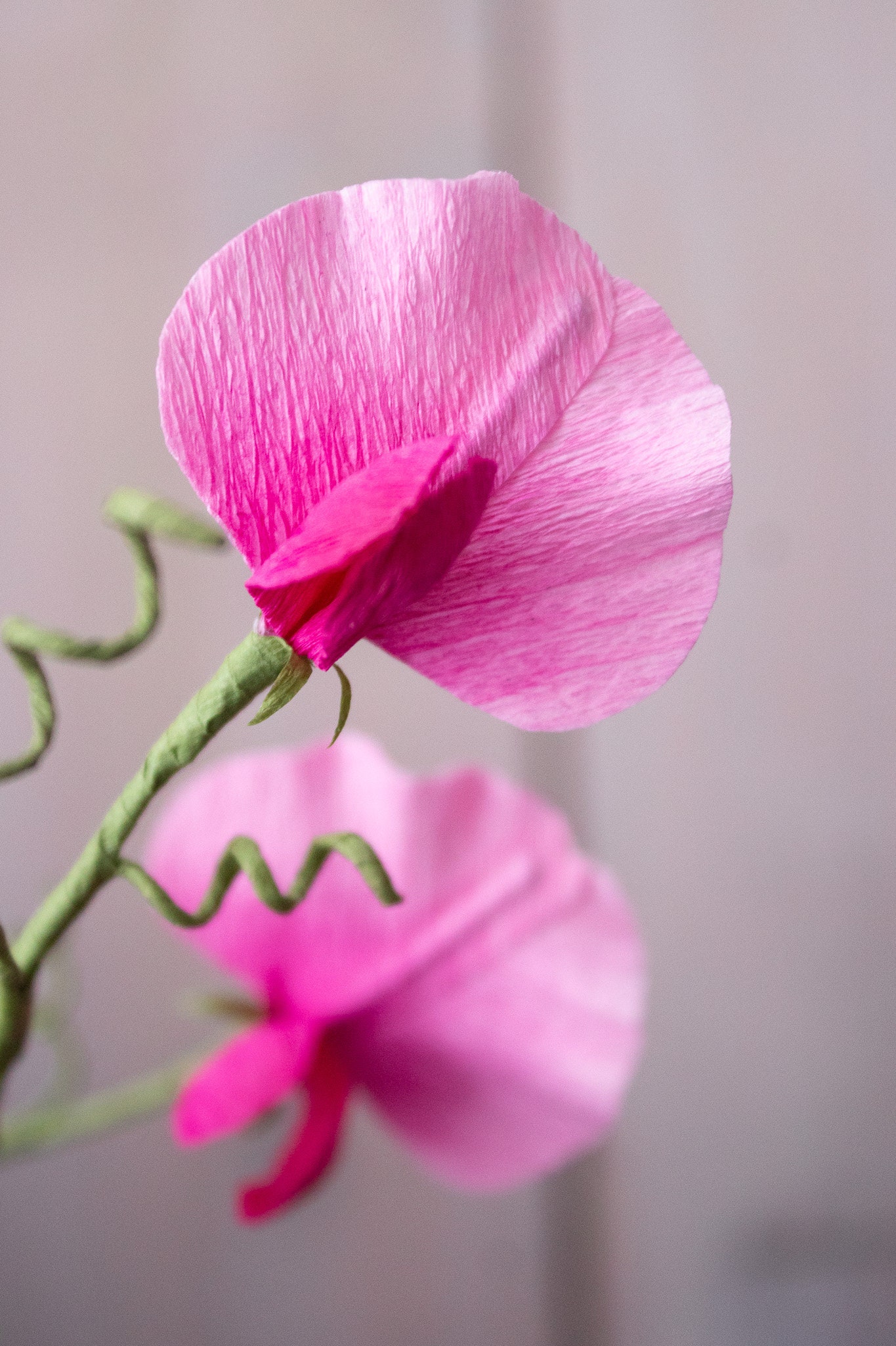 Pink Sweet Pea Crepe Paper Flower Stem Handmade Pink Flower - Etsy