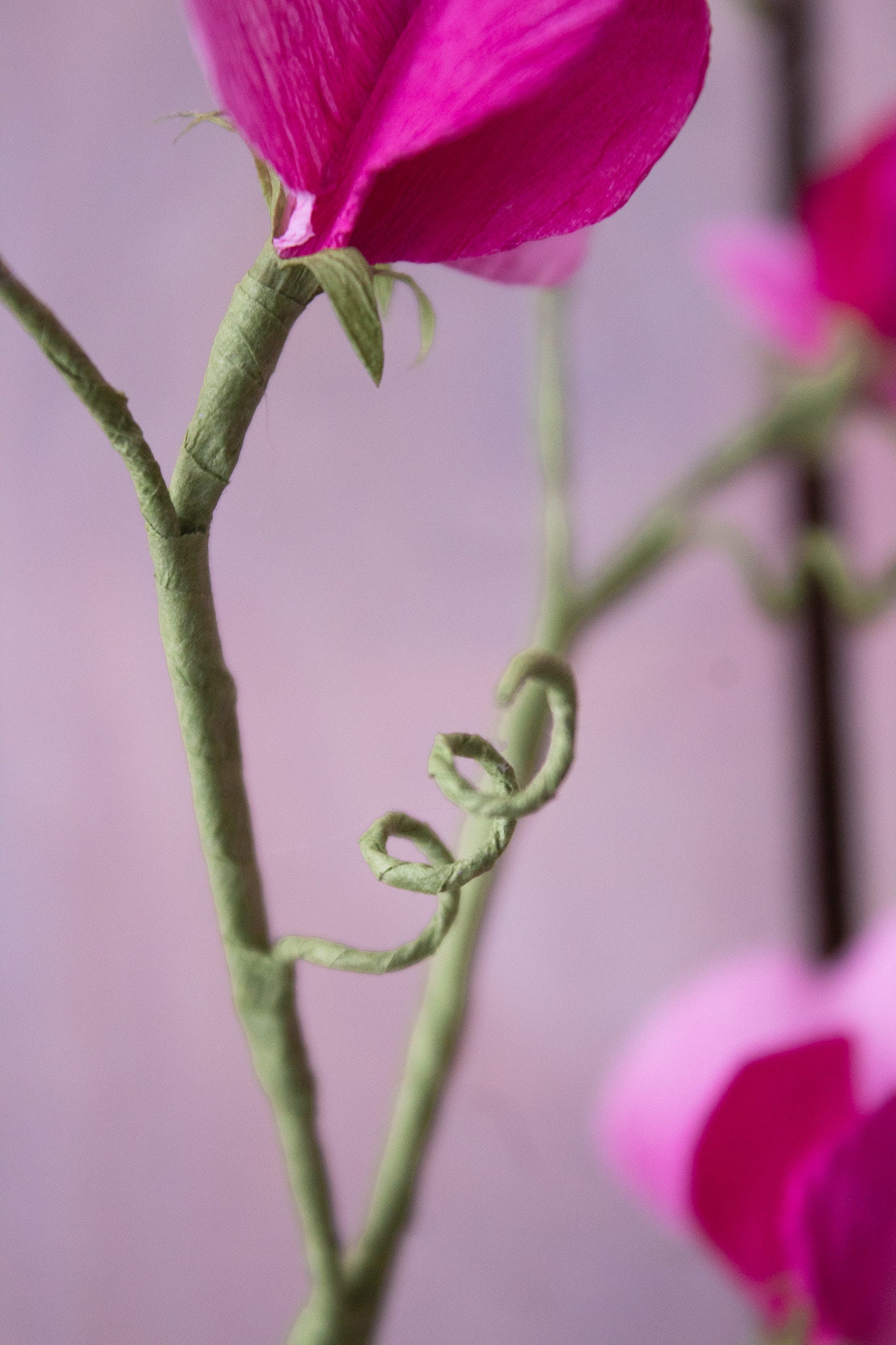 Pink Sweet Pea Crepe Paper Flower Stem Handmade Pink Flower - Etsy