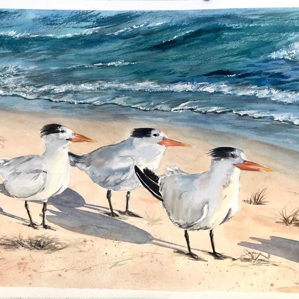 Sea Tern - Etsy