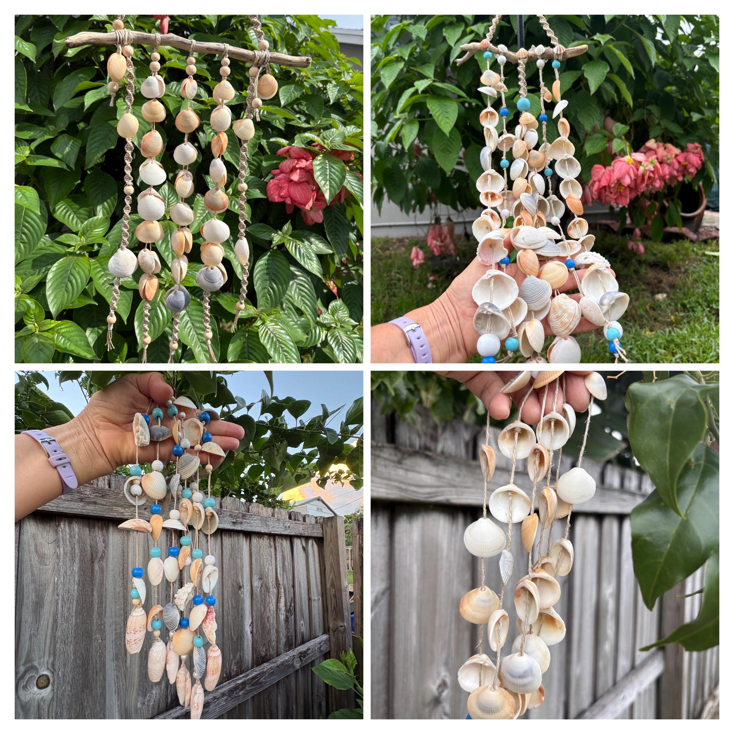 Assorted Natural Seashells With Holes DIY Coastal Wind Chime Kit 3lb ...