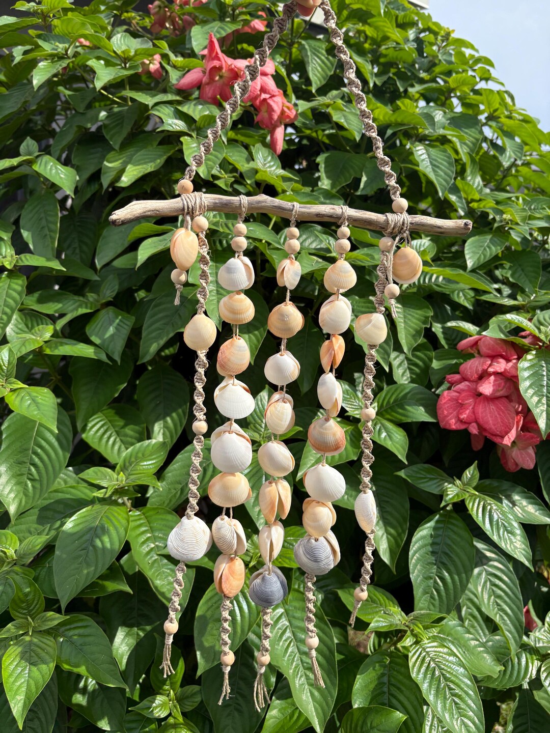 Seashells Coastal Wind Chime Mobile Driftwood Sea Shells Natural ...