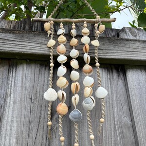 Seashells Coastal Wind Chime Mobile Driftwood Sea Shells Natural ...