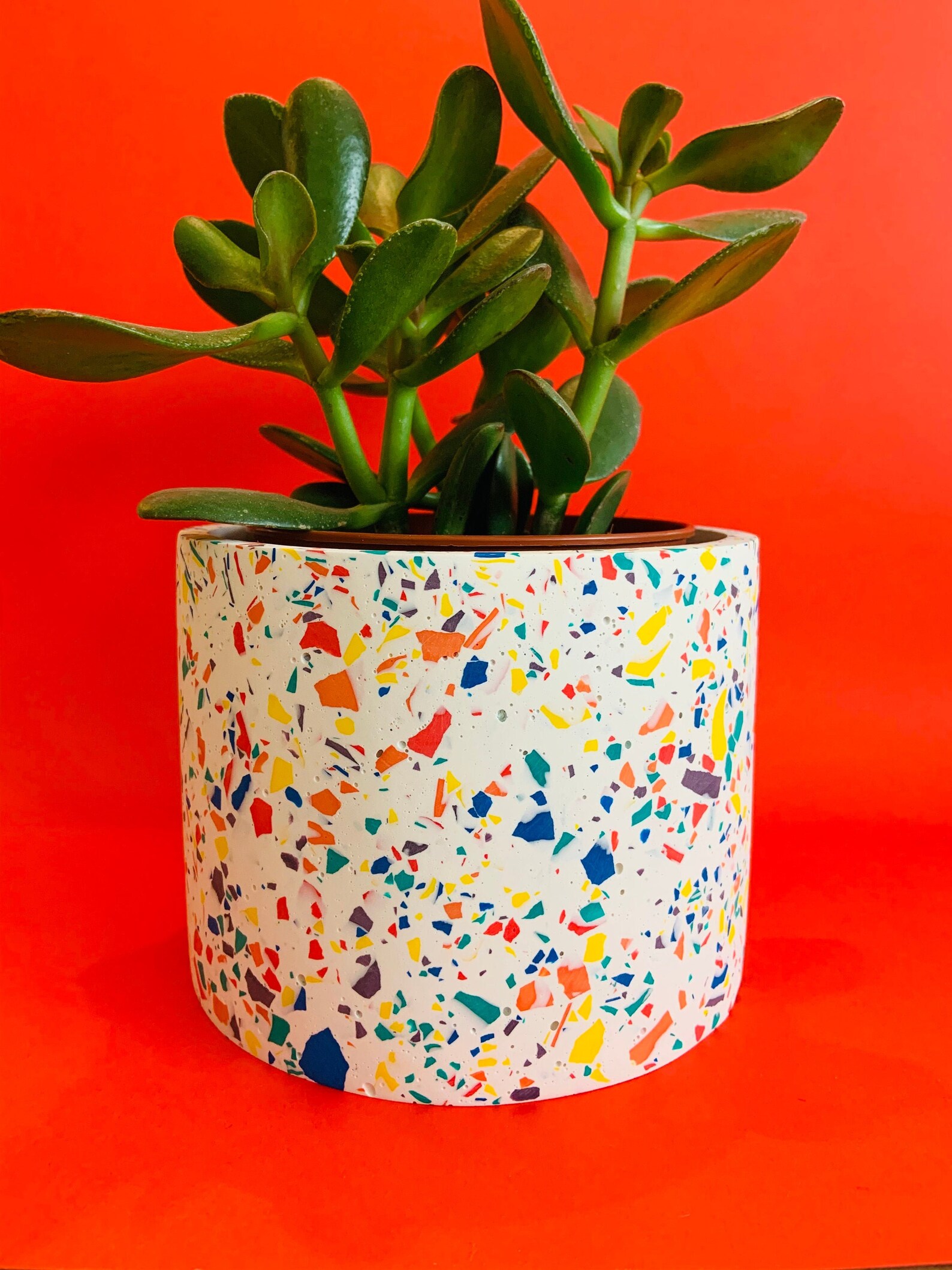 Jesmonite Terrazzo 15cm Plant Pot Handmade Handcrafted Eco - Etsy Canada