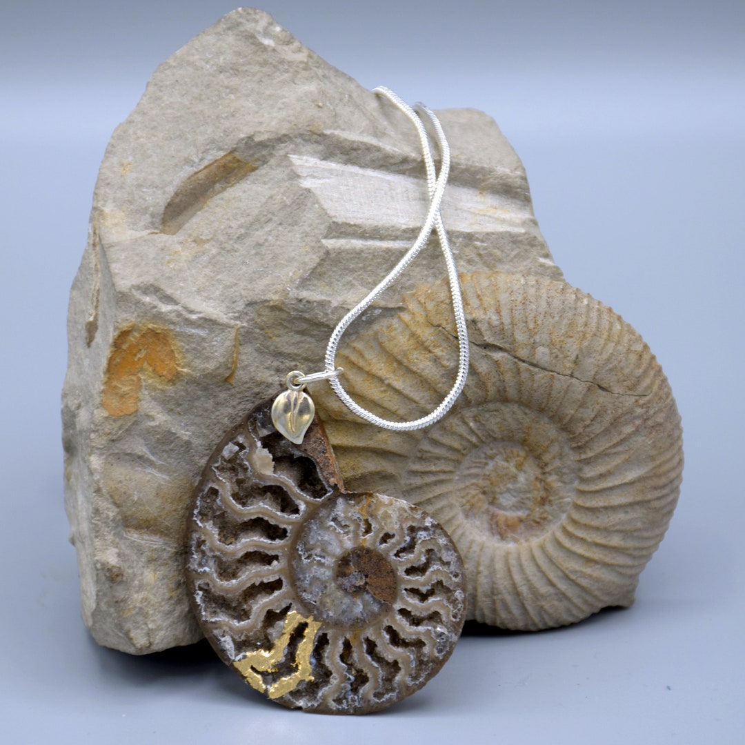 Rare, Delicate Choffaticeras ("daisy Flower") Ammonite Fossil Pendant ...
