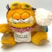 Gorgeous Collectible and Vintage Garfield and Odie Swim Stuffed Animal ...