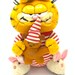 Gorgeous Collectible and Vintage Garfield and Pooky Pj Stuffed,orange ...