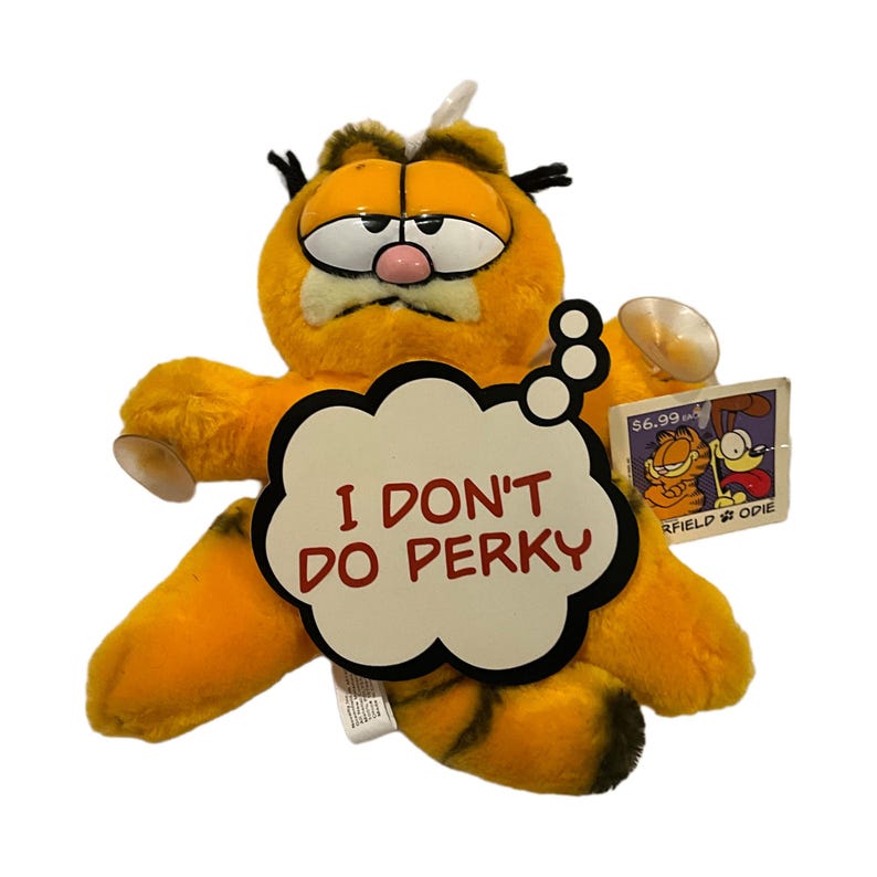 Gorgeous Collectible Garfield, With Suction Cup, Stuffed. I Don’t Do ...
