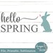 Hello Spring Rabbit Farmhouse SVG, Png, Eps, Jpeg, Dxf, Sublimation ...
