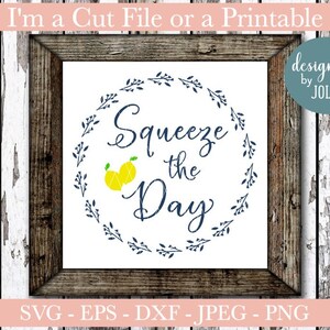 Cut File squeeze the Day Svg, Png, Dxf. File for Vinyl Designs - Etsy