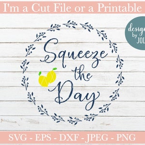 Cut File squeeze the Day Svg, Png, Dxf. File for Vinyl Designs - Etsy
