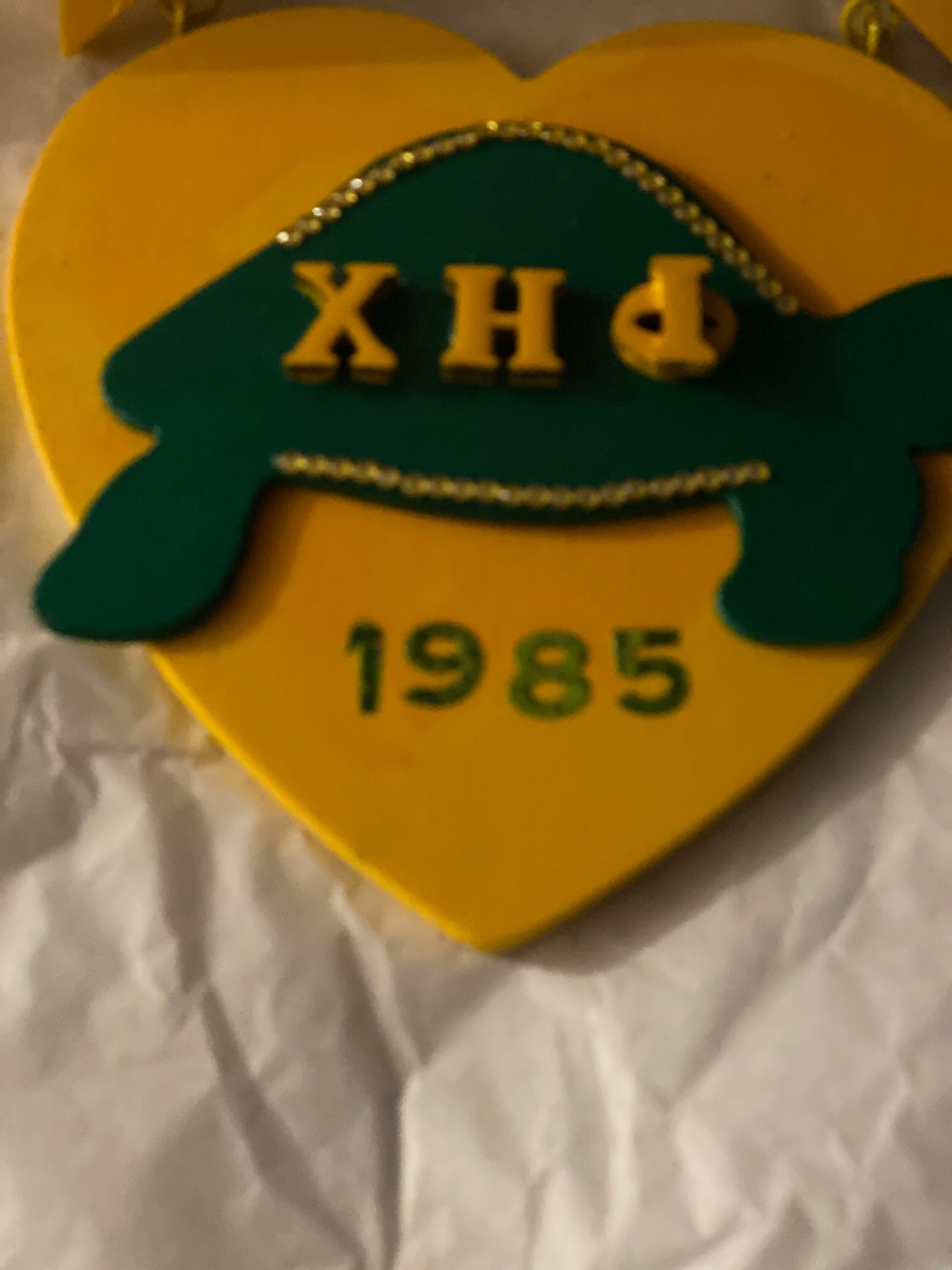 Chi Eta Phi Nursing Sorority Hanging Display. | Etsy Chi Eta Phi Nursing Sorority Hanging Display. | Etsy