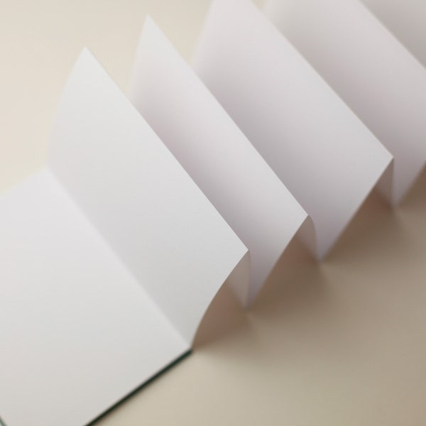 Concertina Book - Etsy