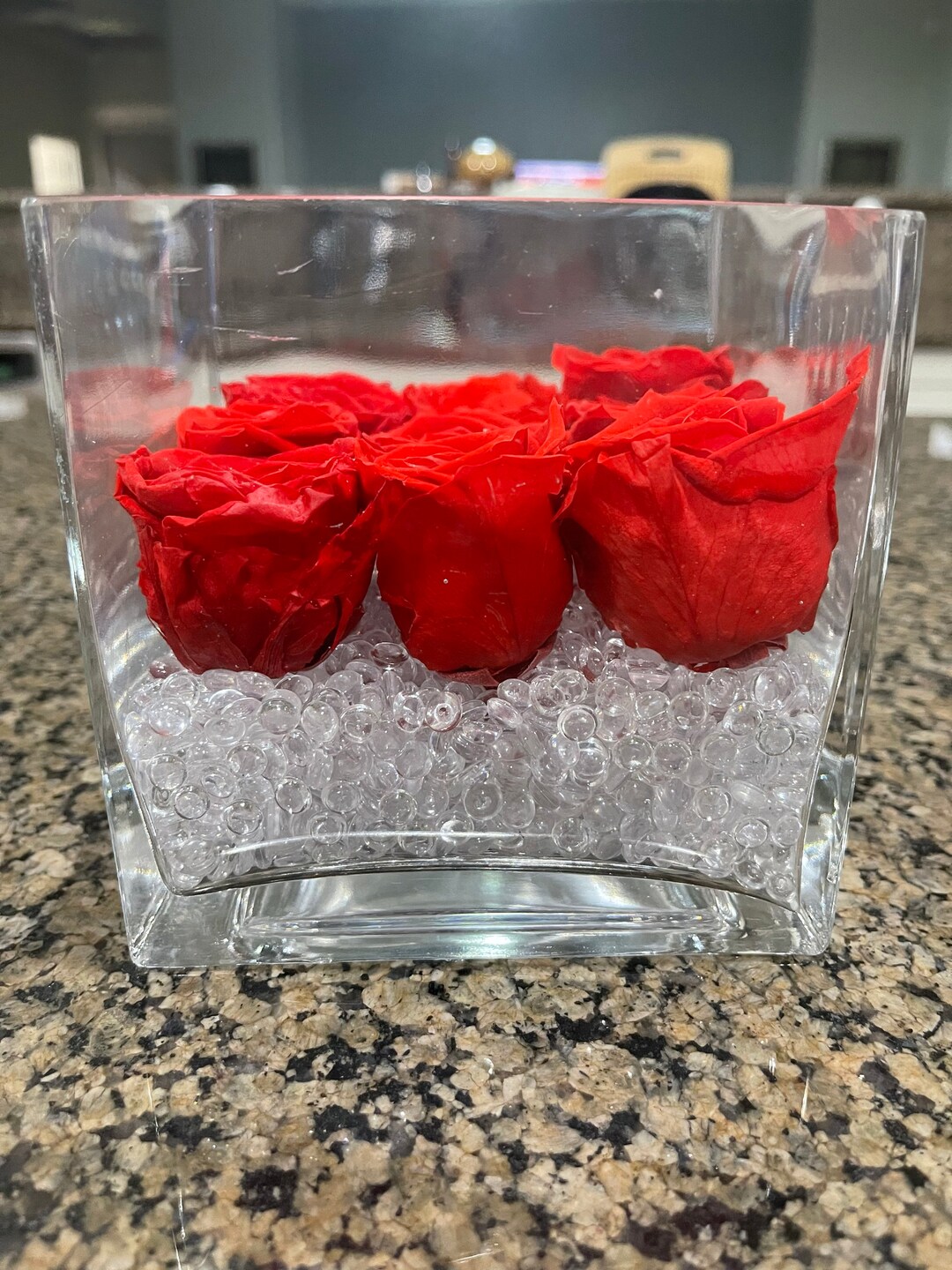 Preserved Roses Real Fresh Roses Eternal Rose - Etsy