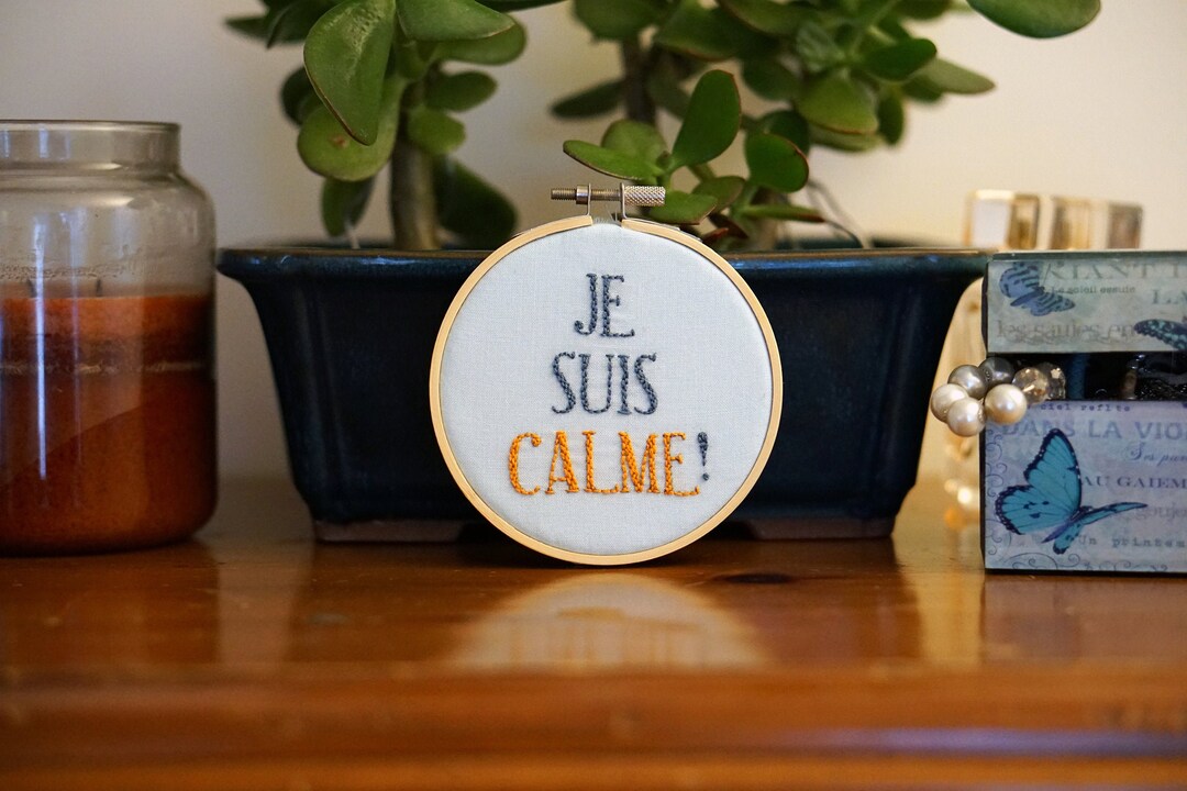 Je Suis Calme! - Taylor Swift Stickerei - Etsy Österreich