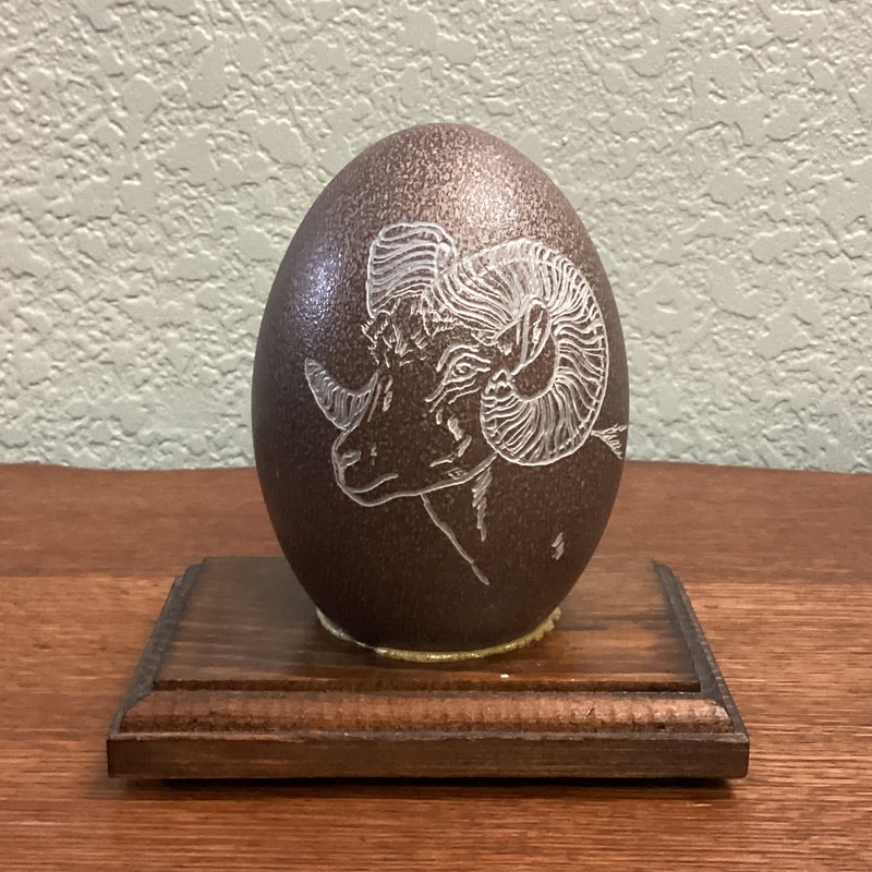 Emu Egg - Etsy