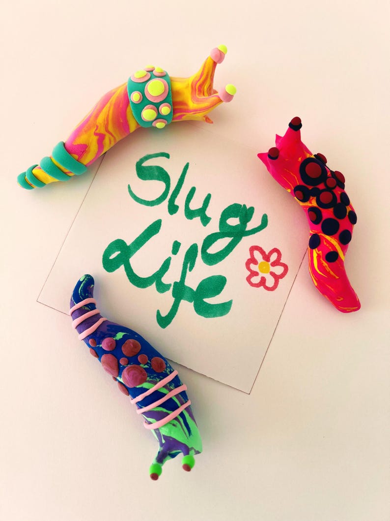 Funky Garden Slug Fridge Magnet - Nature Inspired Colorful Silk Clay ...