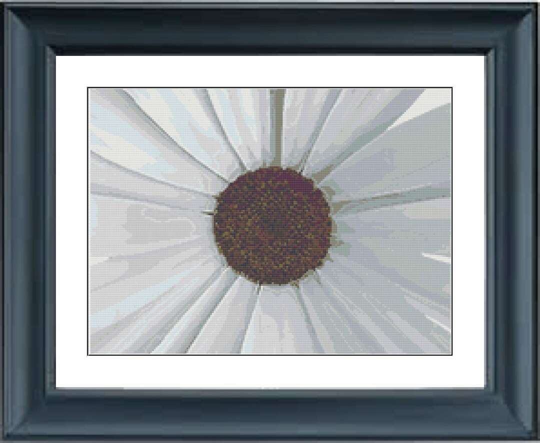 White Daisy Flower Cross Stitch Pattern - Floral Close up (PDF Pattern ...