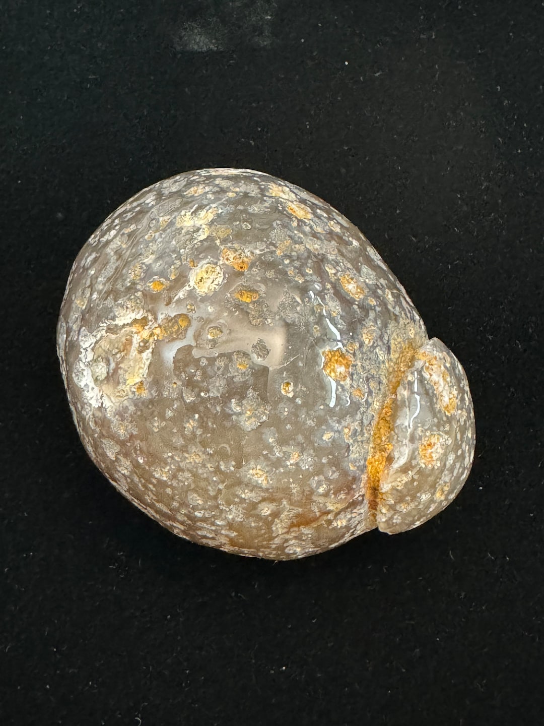 Magical Agate Enhydro, Water Filled Rock, Enhydro Agate, Water Can Be ...