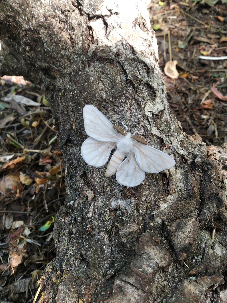 Silkworm Moth White Butterfly Brooch Jewelry Cold Porcelain Realistic ...