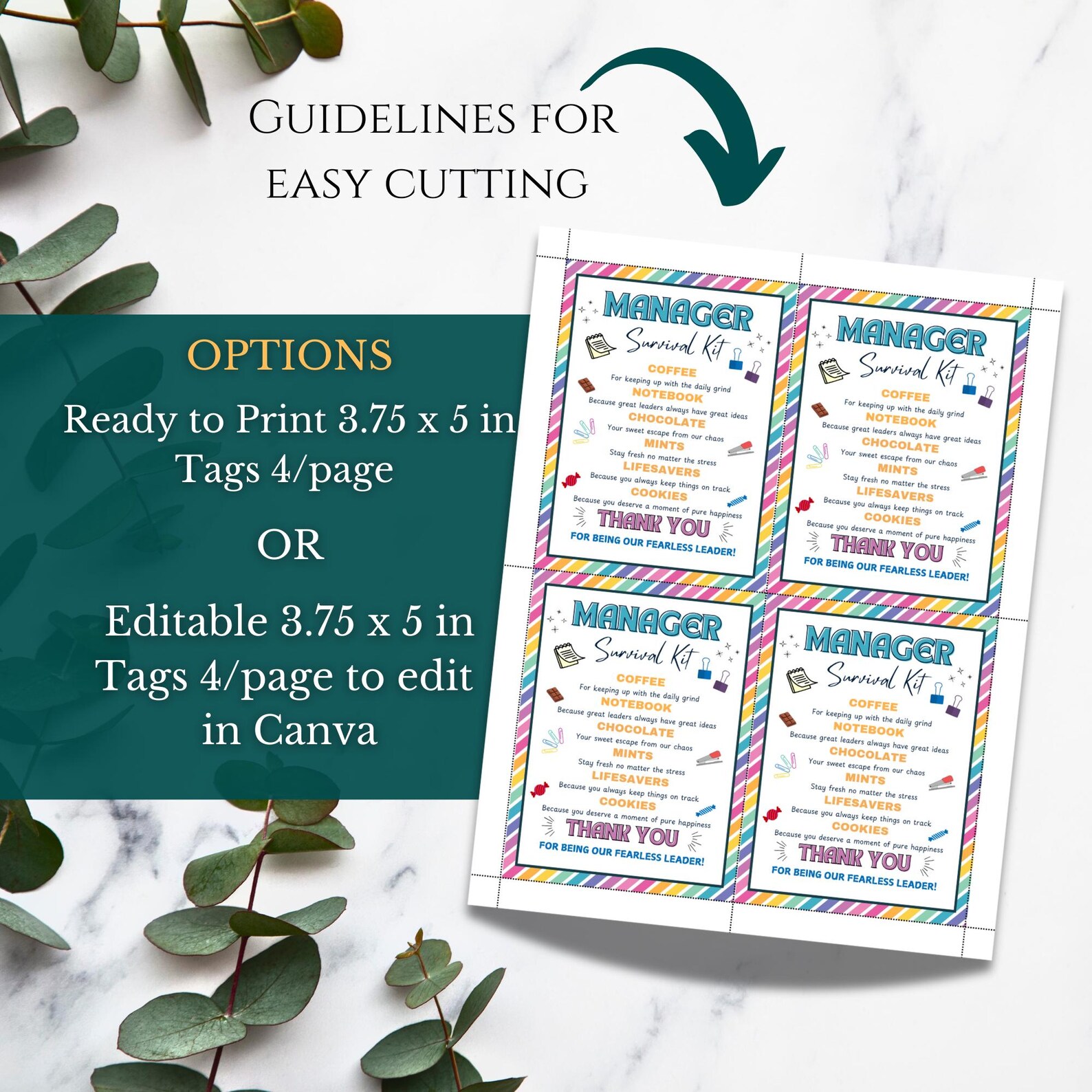 Manager Survival Kit Tag Boss Day Appreciation Gift Work Emergency Kit ...