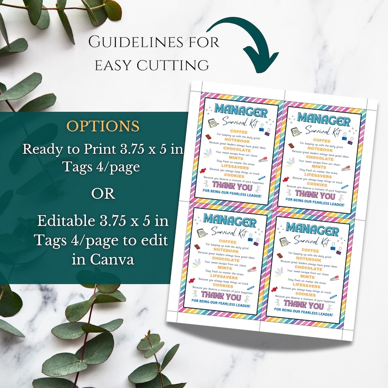 Manager Survival Kit Tag Boss Day Appreciation Gift Work Emergency Kit ...