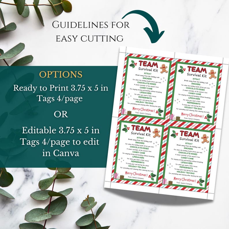 Editable Christmas Team Appreciation Survival Kit Work Employee ...