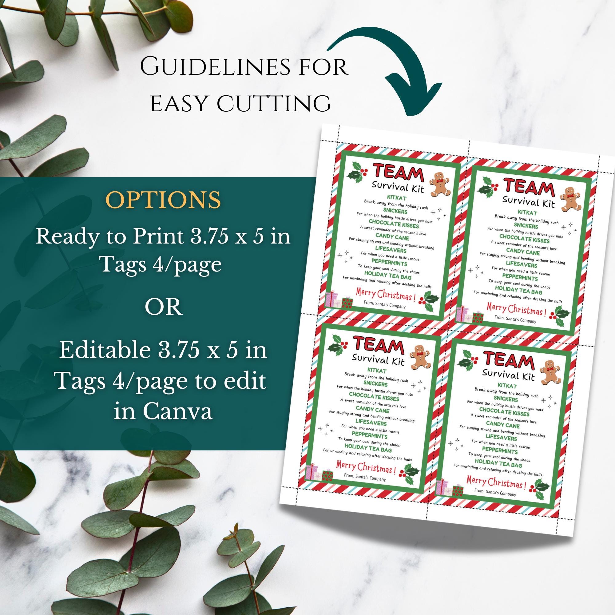 Editable Christmas Team Appreciation Survival Kit Work Employee ...