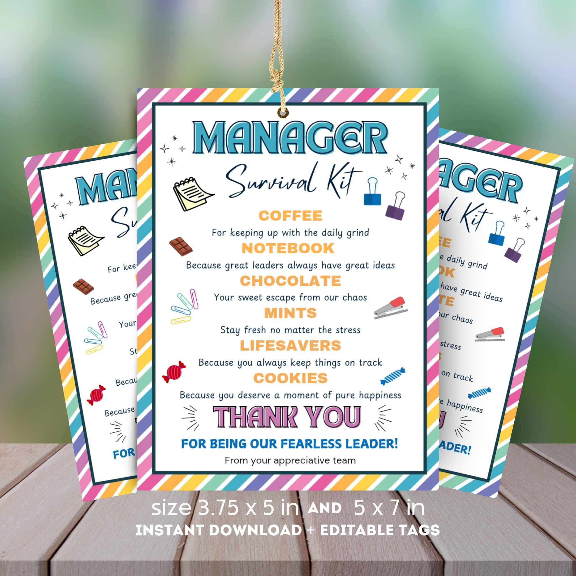 Manager Survival Kit Tag Boss Day Appreciation Gift Work Emergency Kit ...